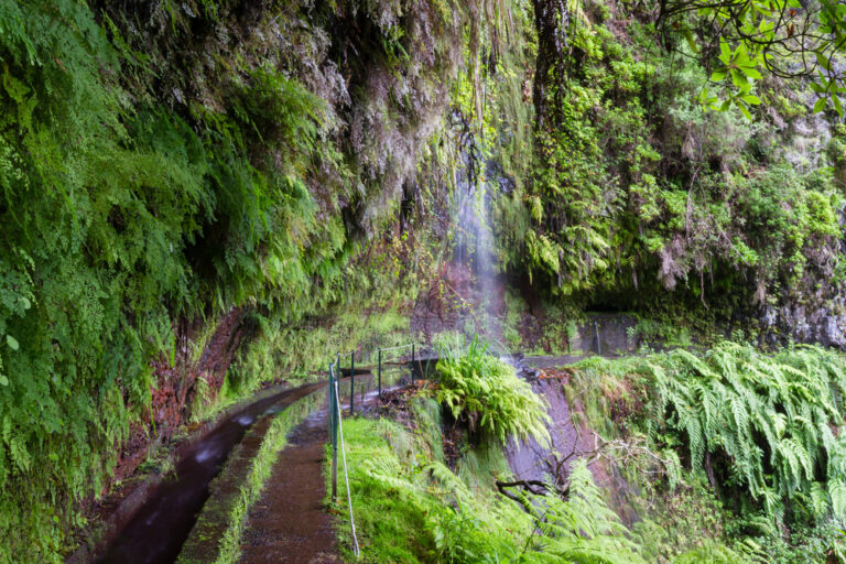 Madeira levády: průvodce po nejkrásnějších trasách - TUI